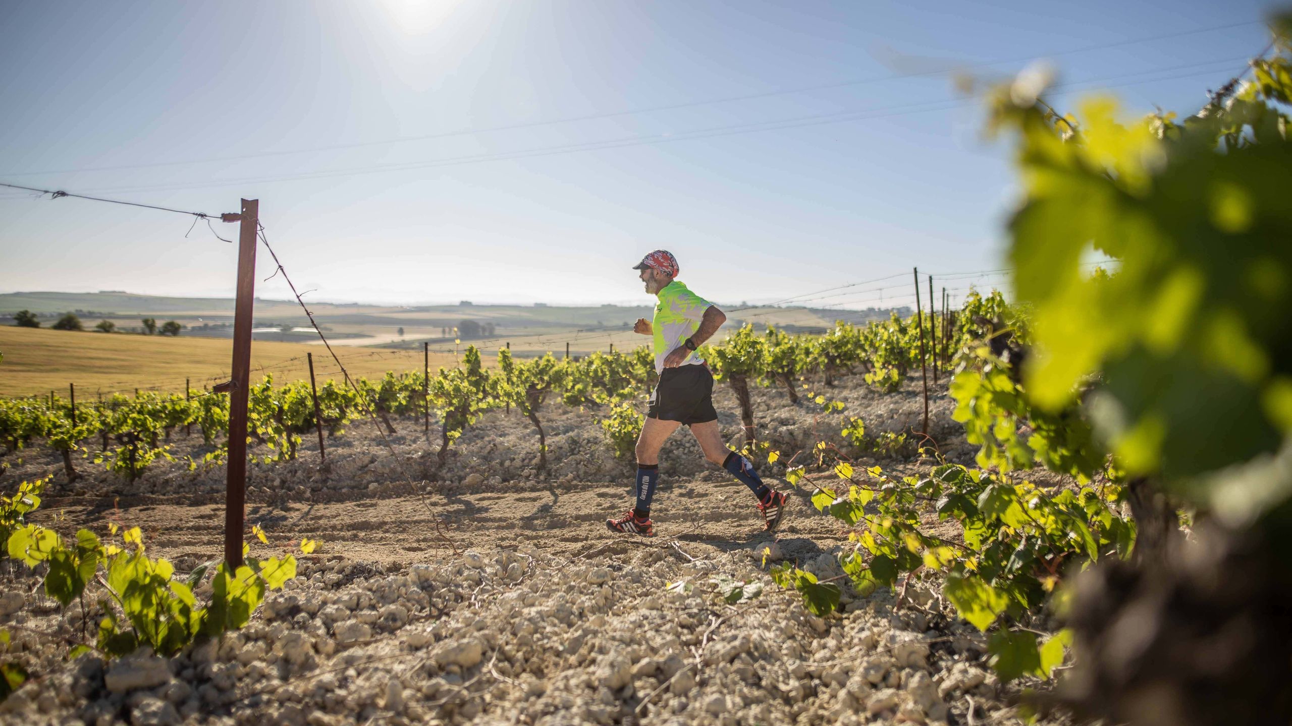 Vino, running y naturaleza fusionados en el Sherry Sport Weekend ...